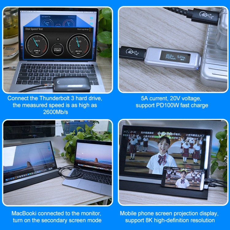 PD 100W USB-C / Type-C sur USB-C / Type-C Thunderbolt 4 Câble de ...